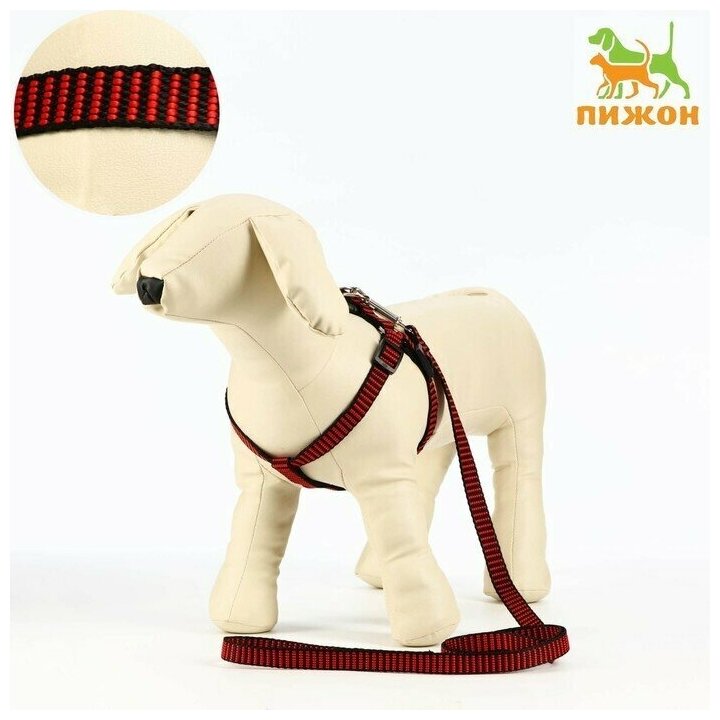 Комплект амуниции рельефный, поводок 120 х 1,5 см, ОГ 36-49 см, красно-чёрный