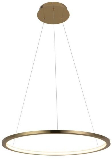 Подвесной светодиодный светильник Loft IT Ring 10014M
