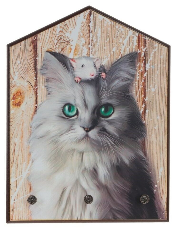 Ключница, L=21 W=3 H=28 см