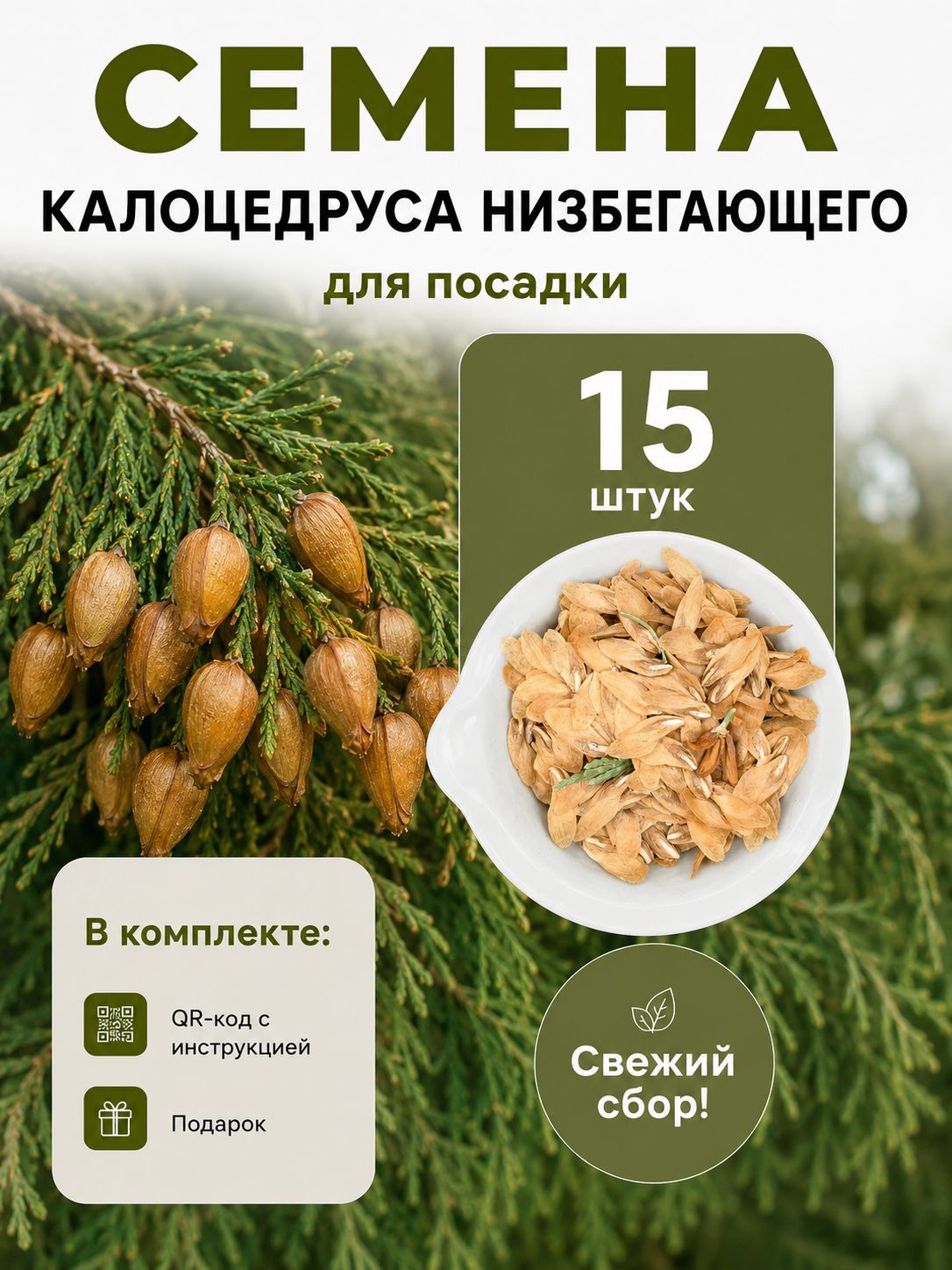Семена Калоцедруса низбегающего, 15 шт
