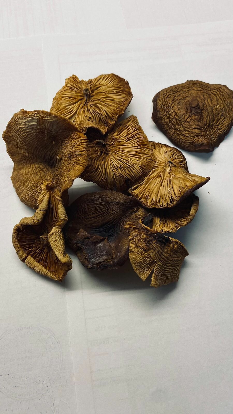 Опята сушеные. В вакууме. Вакуумное хранение.