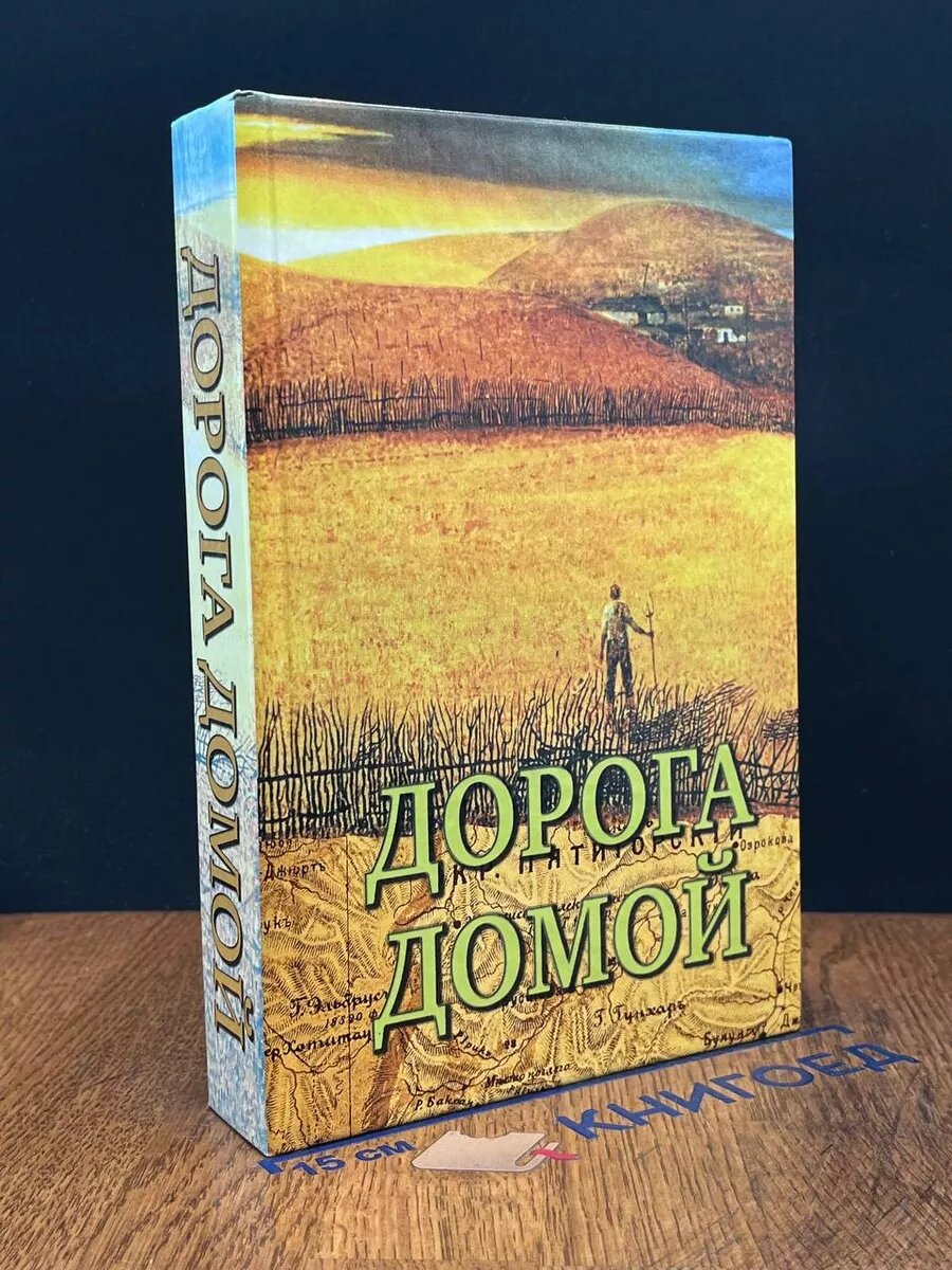 Книга. Дорога домой 2011 (2040770887034)