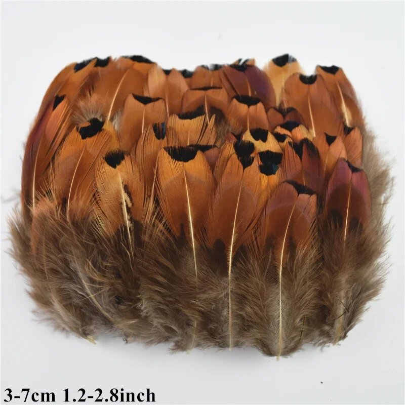 Перо фазана WyFeay 100 PCS, 3-7 CM