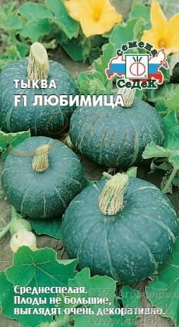Тыква Любимица F1 1г Ср (Седек)