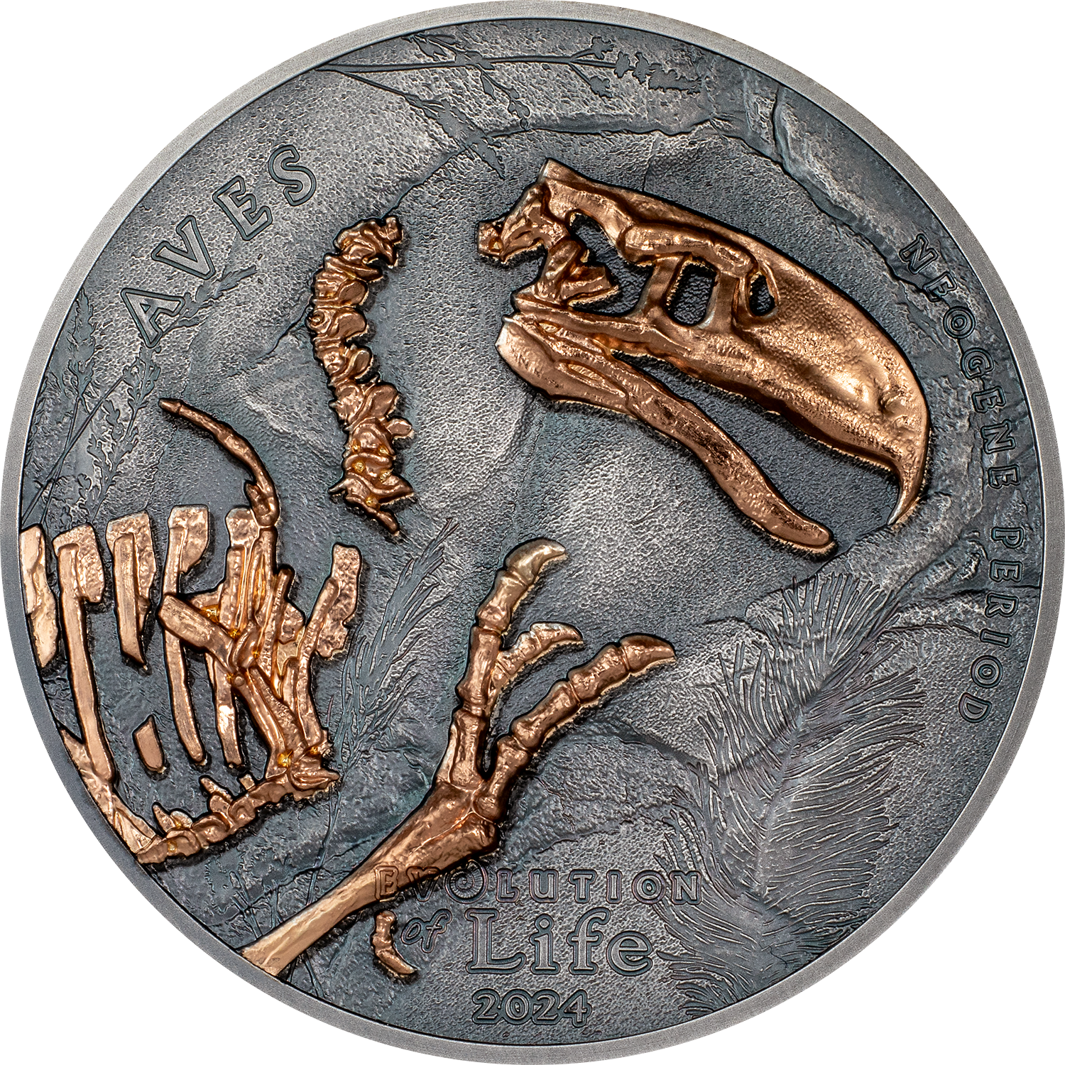 Монета серебряная Монголия, 500 тугриков 2024 год, "Эволюция Жизни Авес",