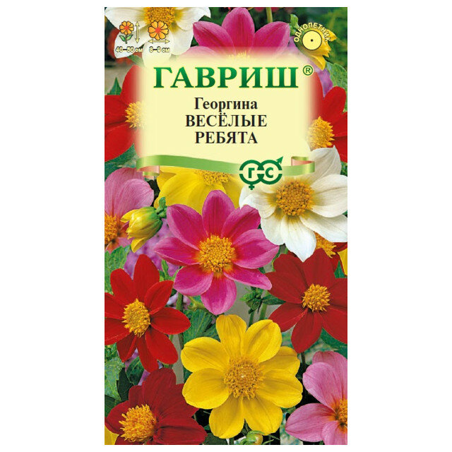 Георгина Веселые ребята гавриш семена 0,3 г - декоративное цветение для сада