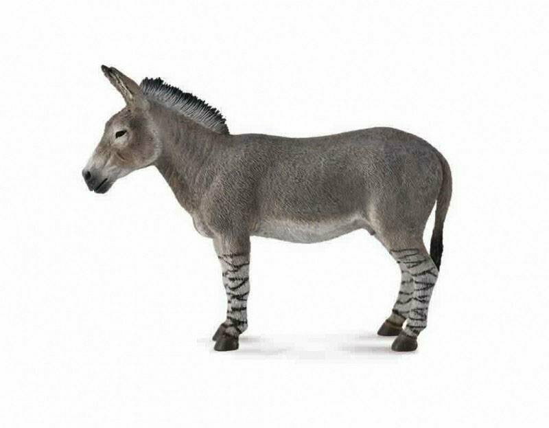 Дикий африканский осел L 88664b