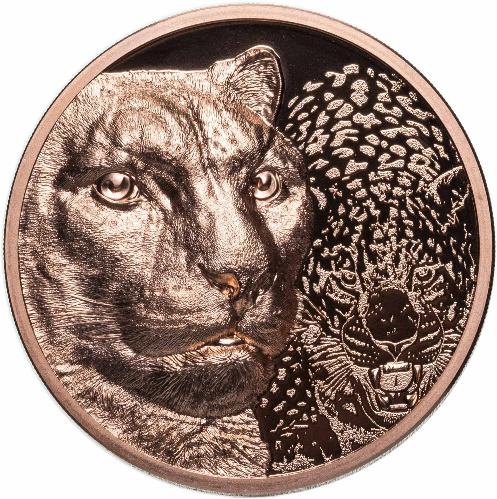 Монголия 250 тугриков 2024 "Мистический Снежный леопард барс" в капсуле с сертификатом, Медь 999, в сохранности PL