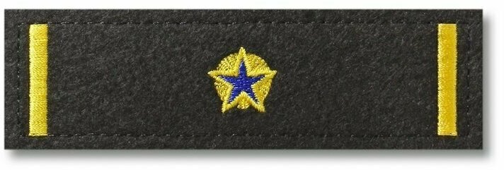 Нашивка (шеврон) секретаря государственной гражданской службы РФ 3 класса. С липучкой. Размер 100x25 мм по вышивке.