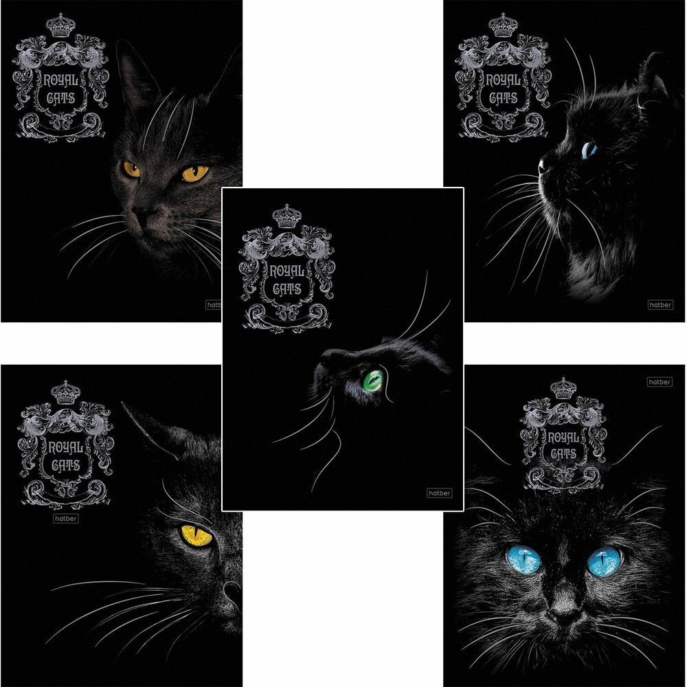 Тетрадь А5, 48 л, HATBER, скоба, клетка, матовая ламинация, 3D, "RoyalCats" (5 видов в спайке)