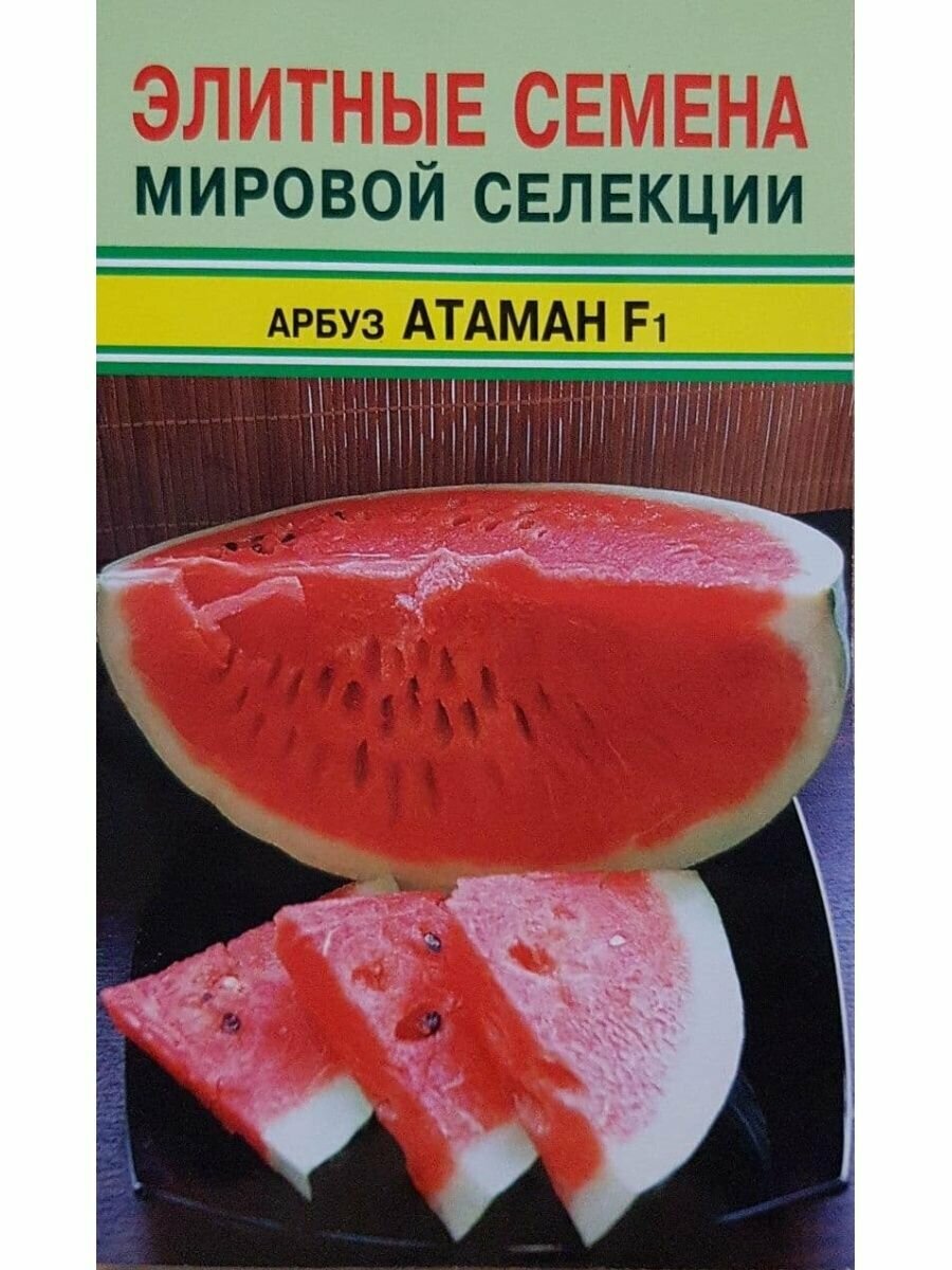 Арбуз Атаман