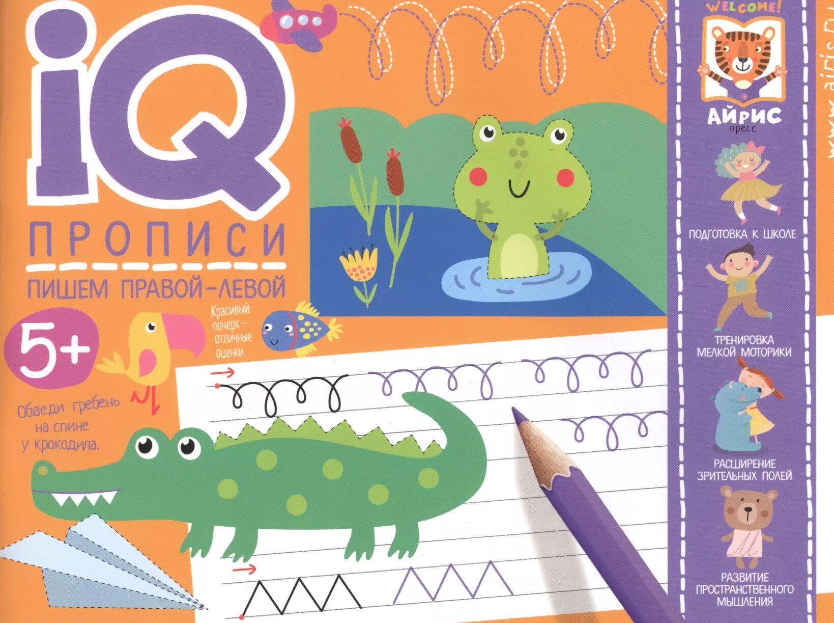 IQ-прописи. Пишем правой-левой. Прописи для двух рук