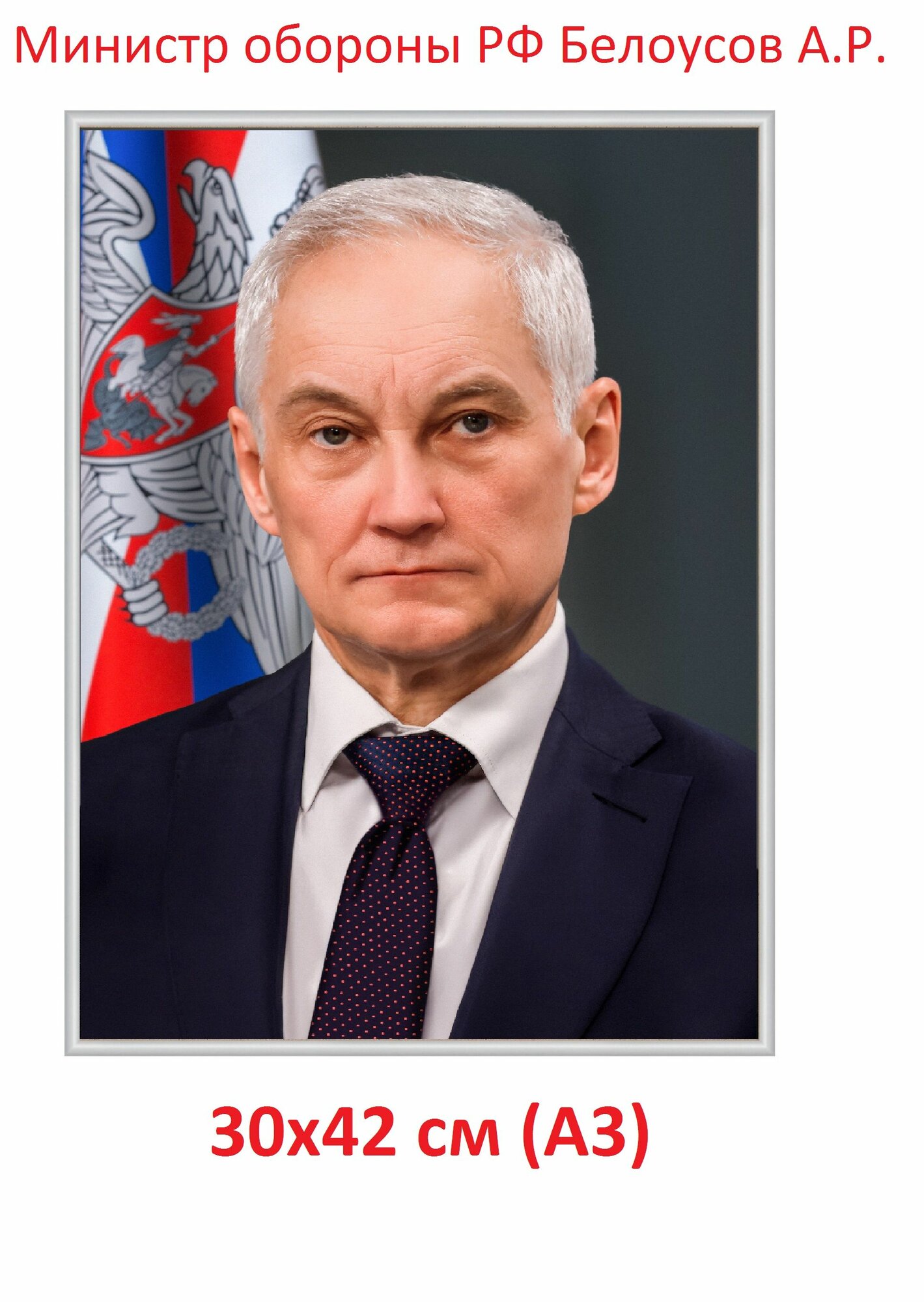 Портрет Белоусова Андрея Рэмовича, формат А3(29,7*42 см), алюминиевая рамка.
