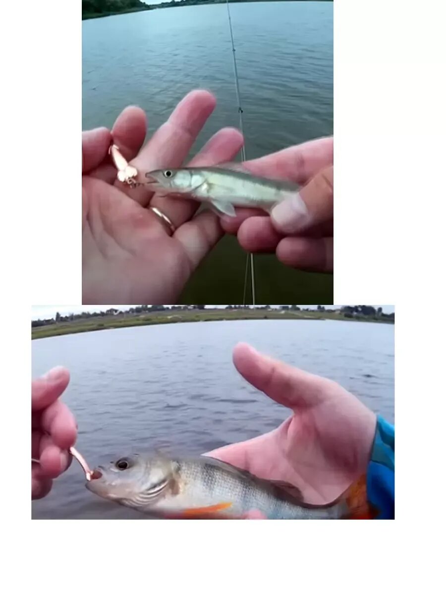 Набор блесен Y&G "Fishing", для рыбалки, подарочный комплект, 2 шт — фото 1