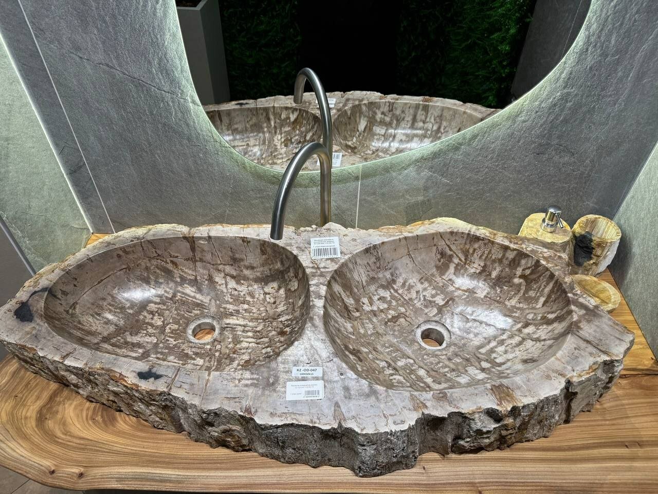 Двойная раковина окаменелое дерево