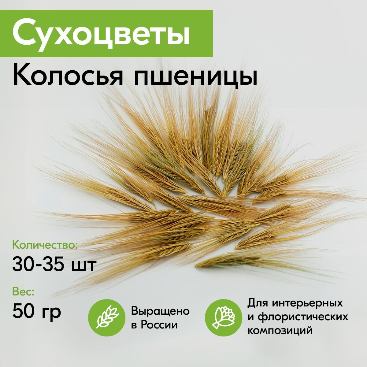 Соцветие пшеницы 50г (30-35 шт) для декора, Колосья пшеница сухоцветы