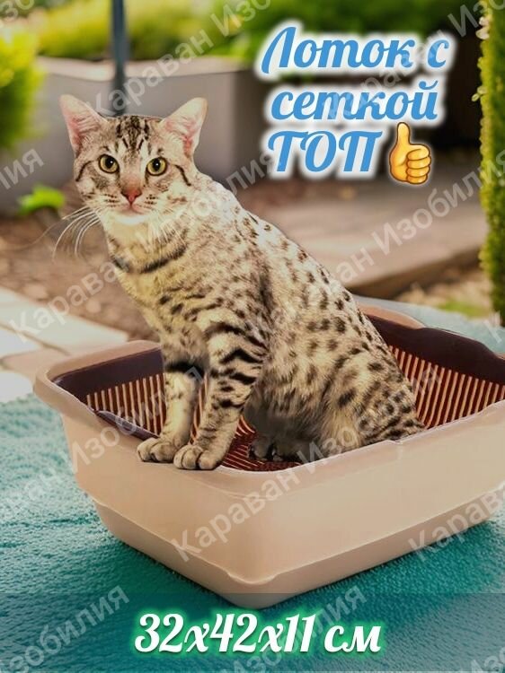 Лоток для кошек с сеткой, туалет для кошек/Туалет лоток для животных с решеткой, цвет бежево-коричневый 320x420x110(h)mm