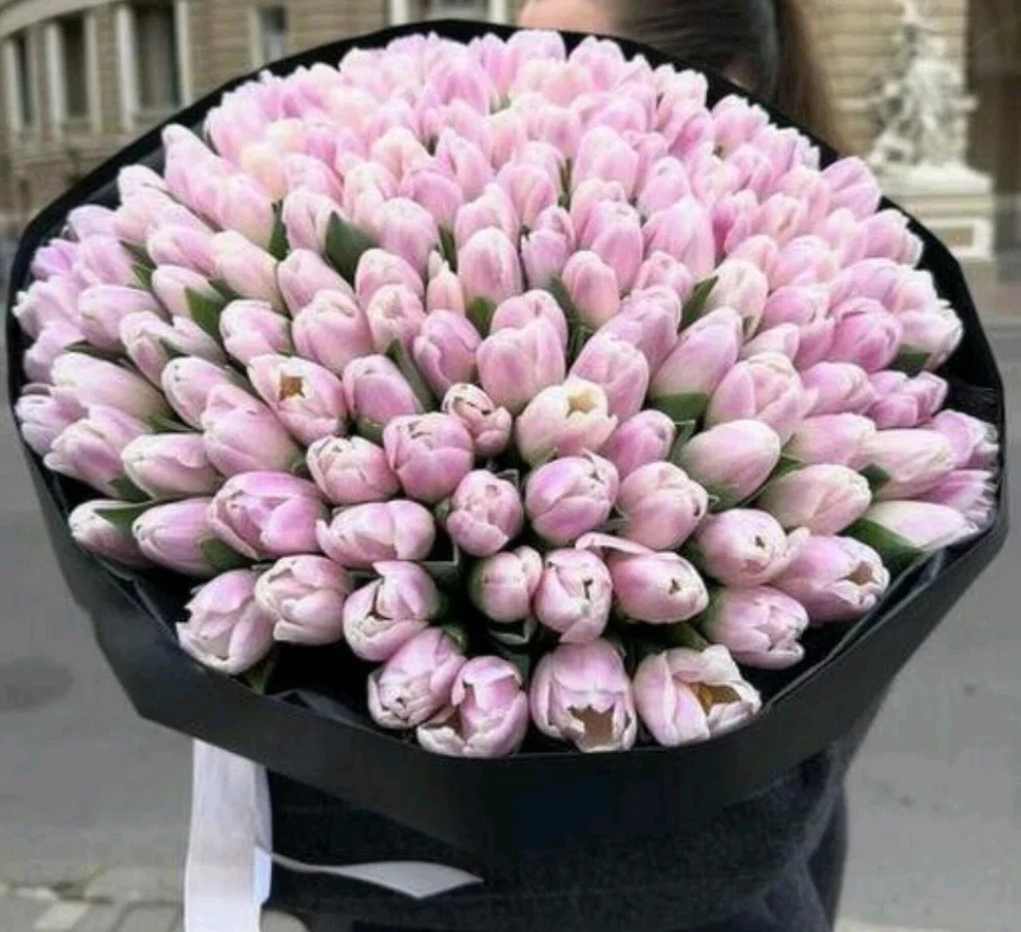 Монобукет тюльпанов ShokoFlowers, 101 цветок, без упаковки, на стеблях, 8 Марта