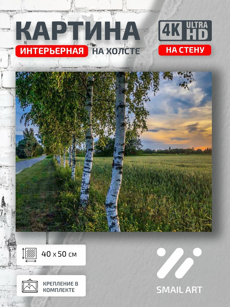 Картина на холсте интерьерная 40 на 50 на стену Лето Landscape для кафе пейзаж интерьер