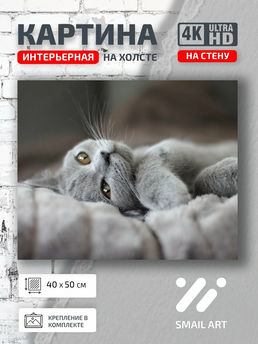 Картина на холсте интерьерная 40 на 50 на стену Серый Landscape для гостиной пейзаж декор