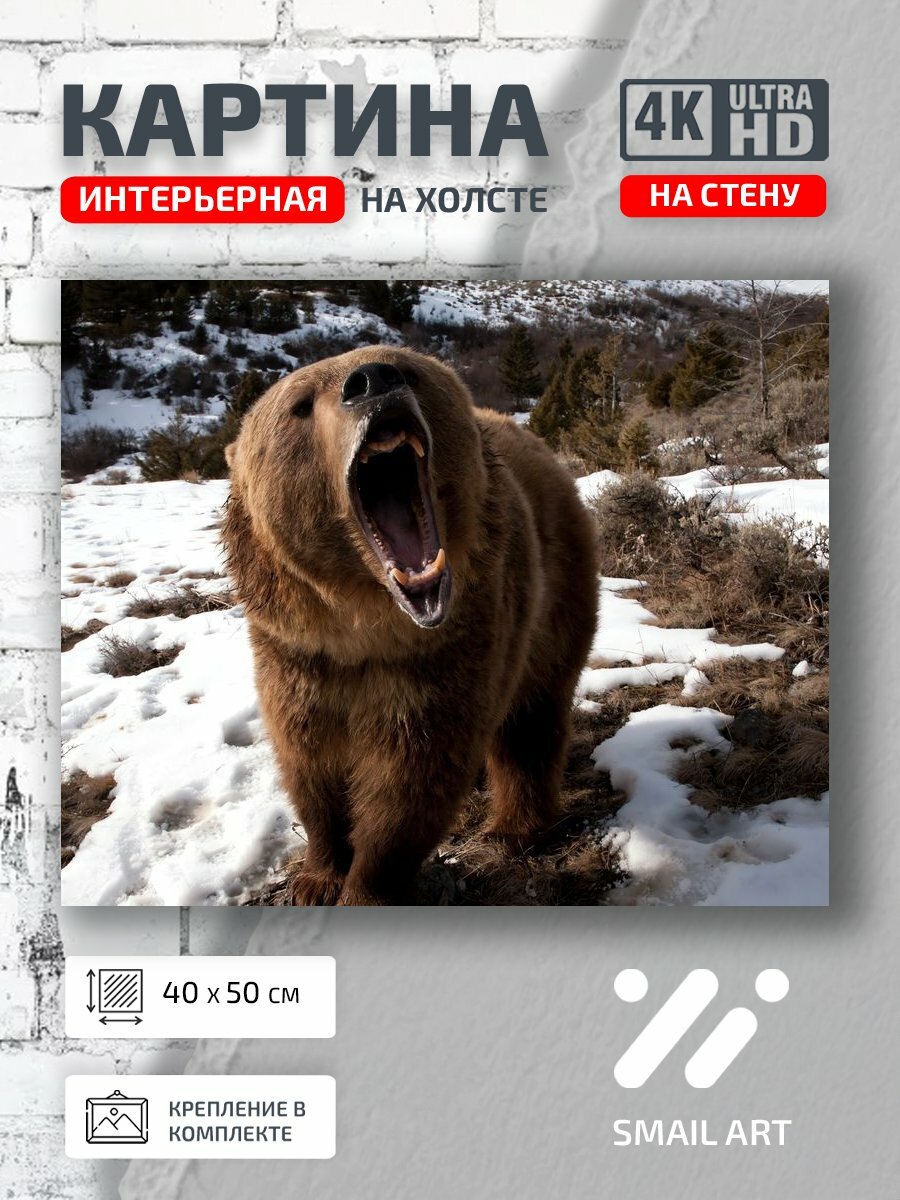 Картина на холсте интерьерная 40 на 50 на стену Зима Landscape для кафе пейзаж интерьер