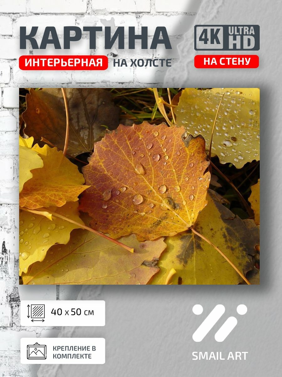 Картина на холсте интерьерная 40 на 50 на стену Землю Mood для офиса атмосфера интерьер