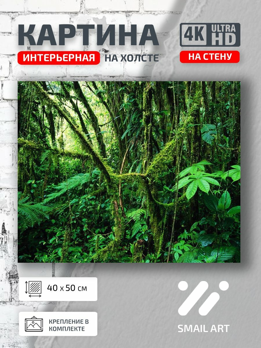 Картина на холсте интерьерная 40 на 50 на стену Стильная Rica для гостиной пейзаж интерьер