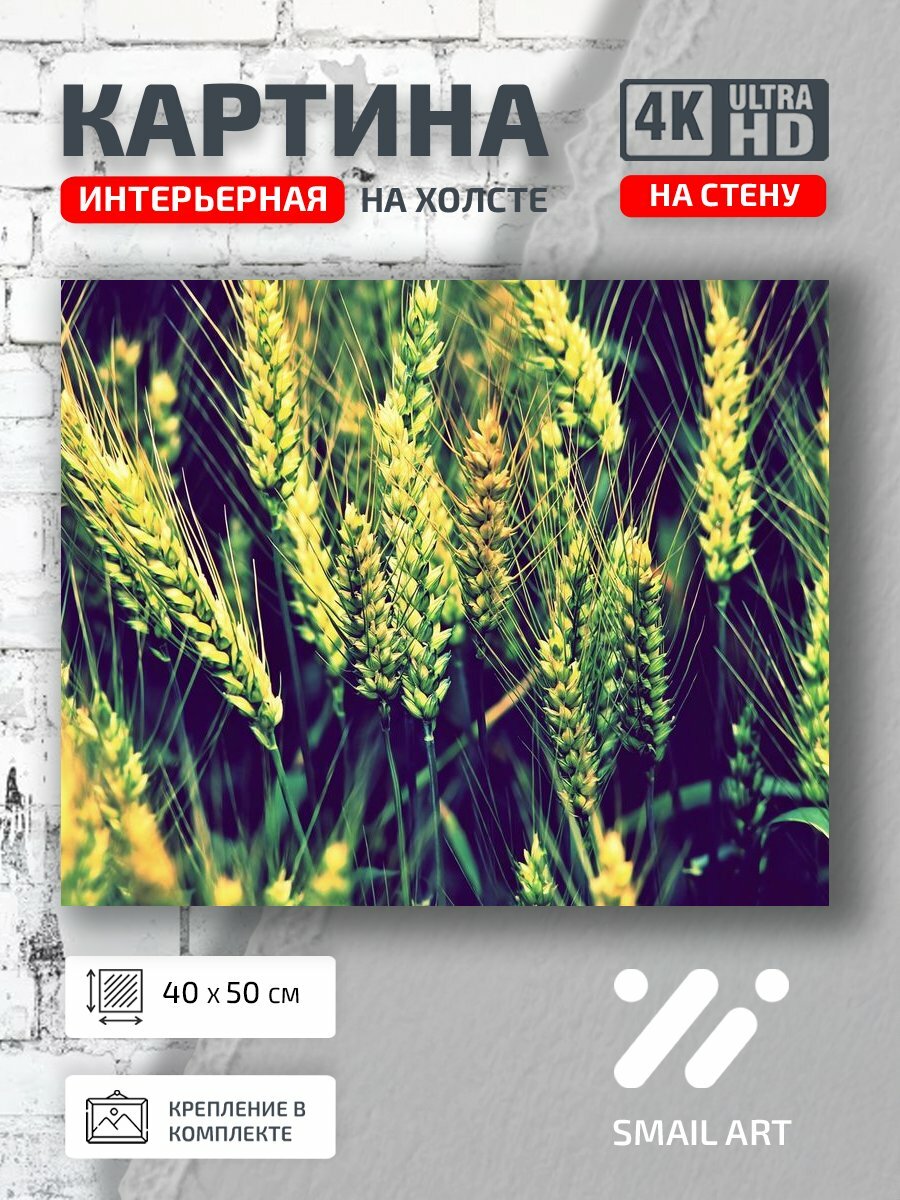 Картина на холсте интерьерная 40 на 50 на стену Зелёная Landscape для гостиной пейзаж декор