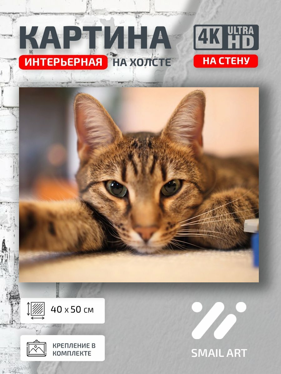 Картина на холсте интерьерная 40 на 50 на стену Ковер Animal для кафе animal style интерьер