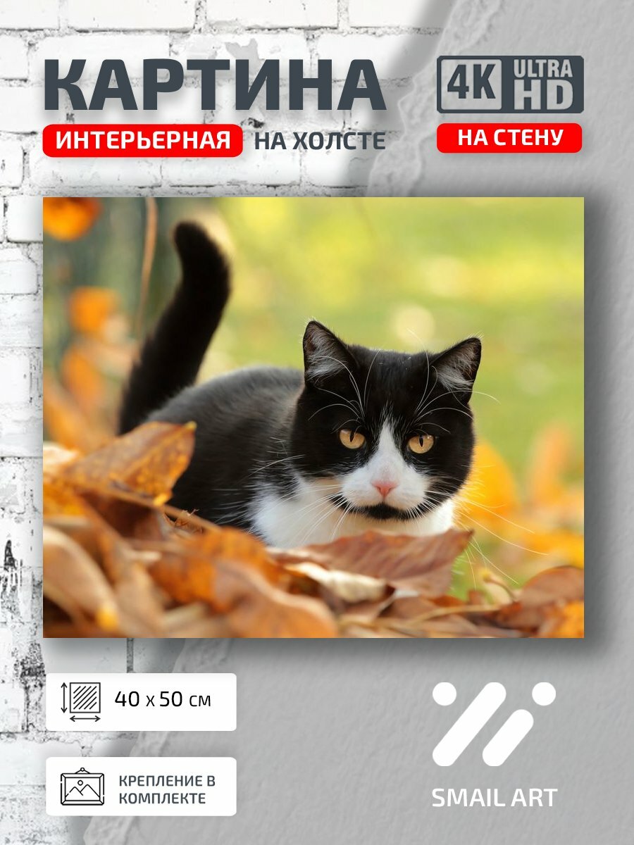 Картина на холсте интерьерная 40 на 50 на стену Осень Animal для спальни animal style декор