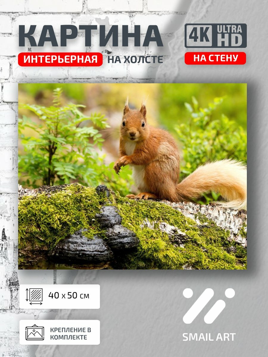Картина на холсте интерьерная 40 на 50 на стену Лесу Landscape для кафе пейзаж интерьер