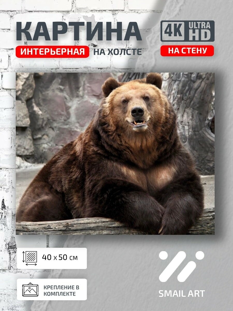 Картина на холсте интерьерная 40 на 50 на стену Животные Медведь для кабинета атмосфера