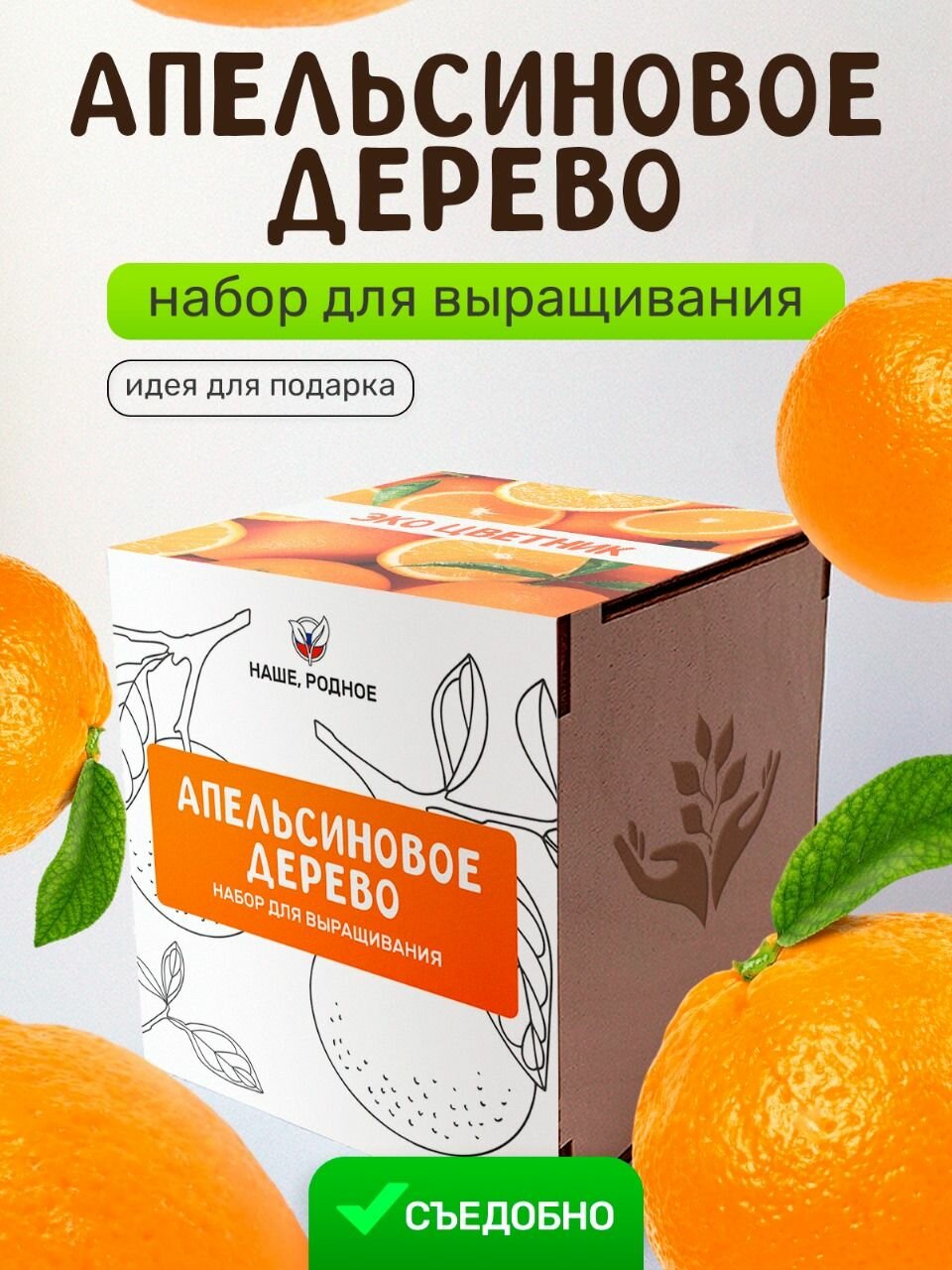 Набор для выращивания растений Сад на окне "Апельсиновое дерево", в деревянном горшочке