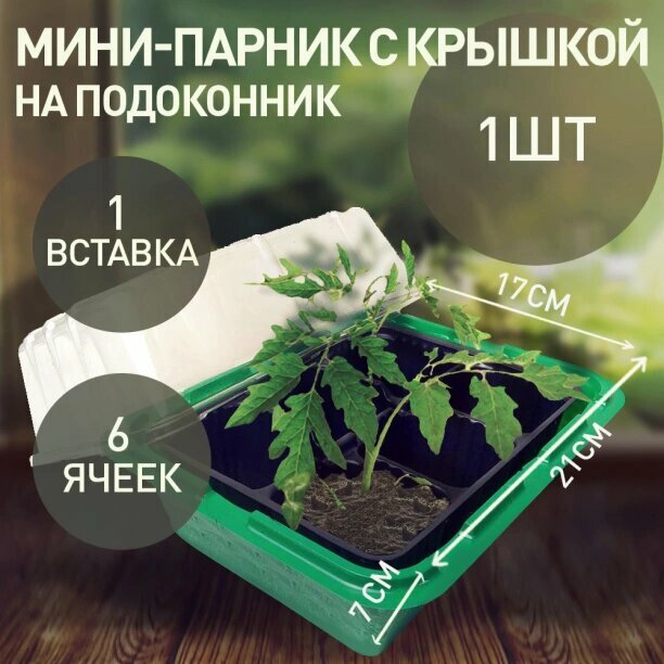 Мини-парник на подоконник 6 ячеек 1 вставка