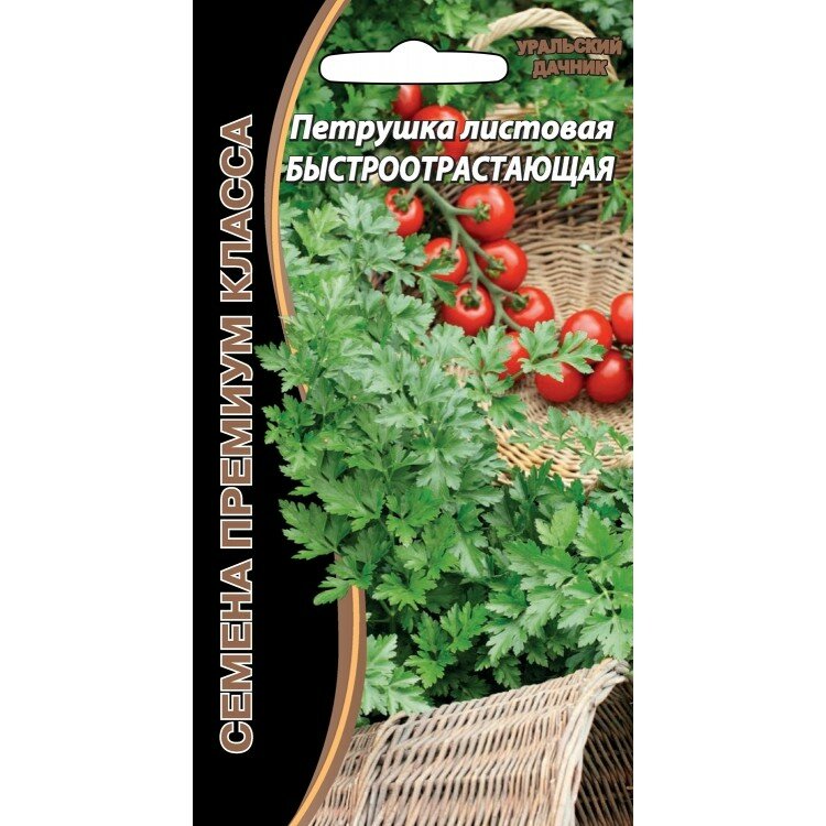Семена петрушки "Быстроотрастающая" листовая, 10 упаковок по 1,5 гр - листья гладкие, сильнорассеченные, с сильным пряным ароматом.