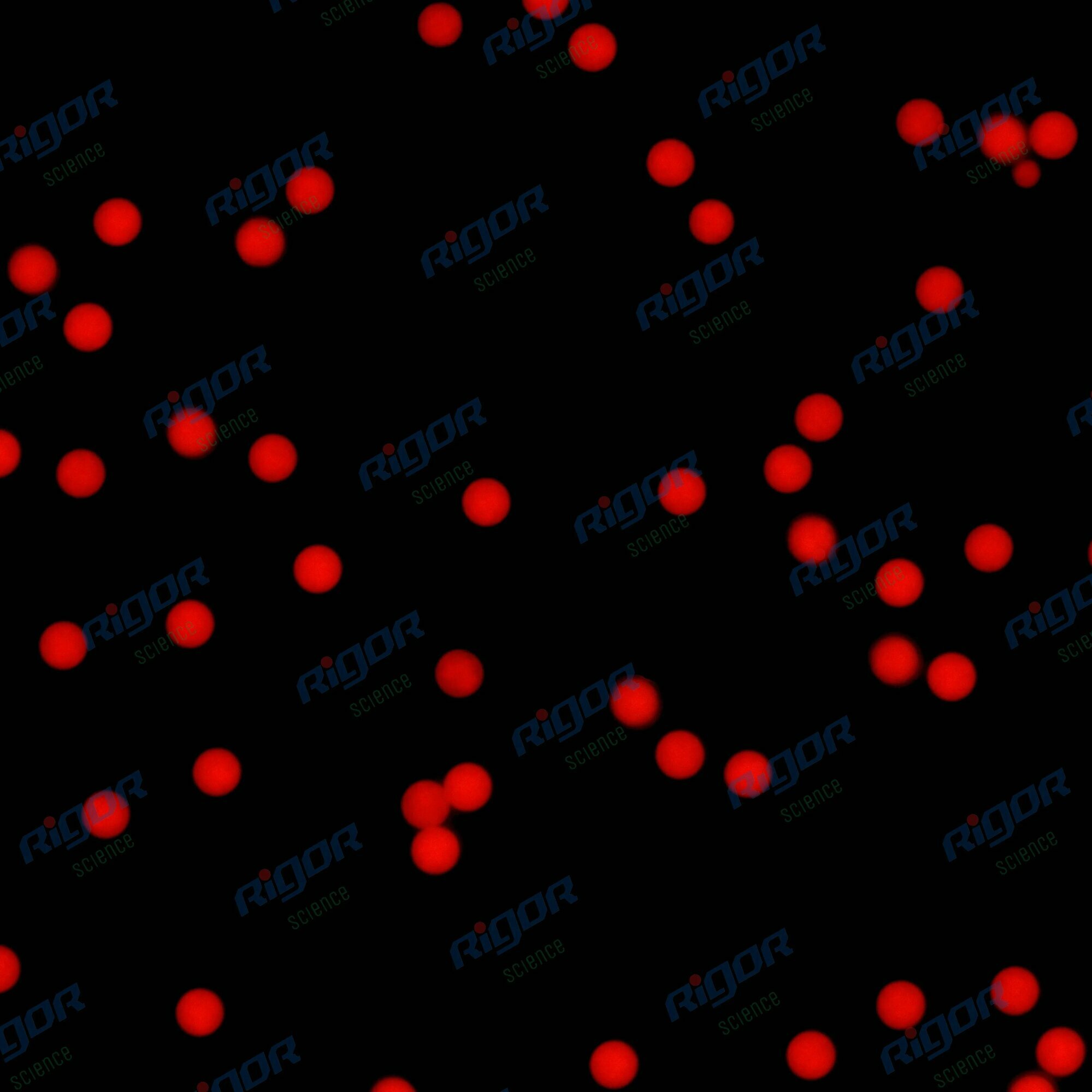 Монодисперсный оранжево-красный флуоресцентный полистирол, PS, флуоресцентные микросферы Спецификация 10 мл твердое содержание 1wt % Type 8