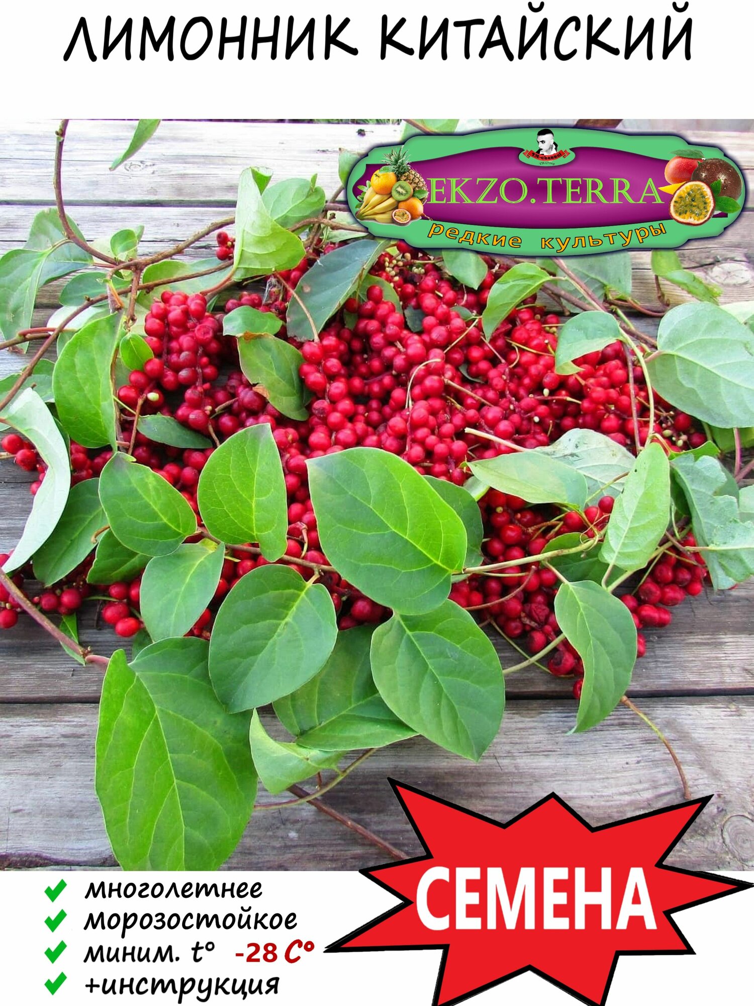 Семена Лимонник Китайский 10 шт.