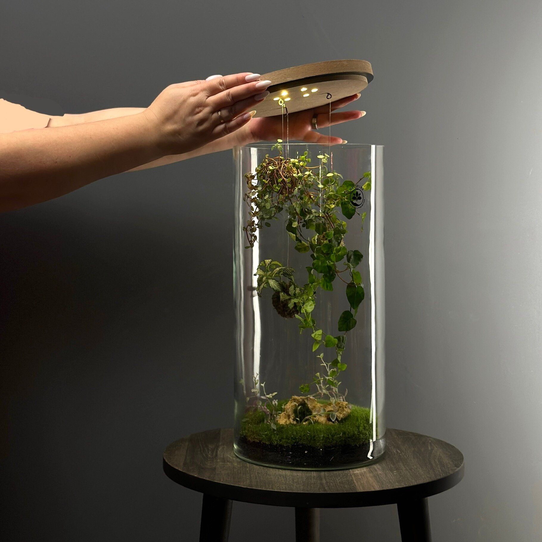 Левитирующий большой флорариум Терра Трио с живым мхом - парящий сад в невесомости