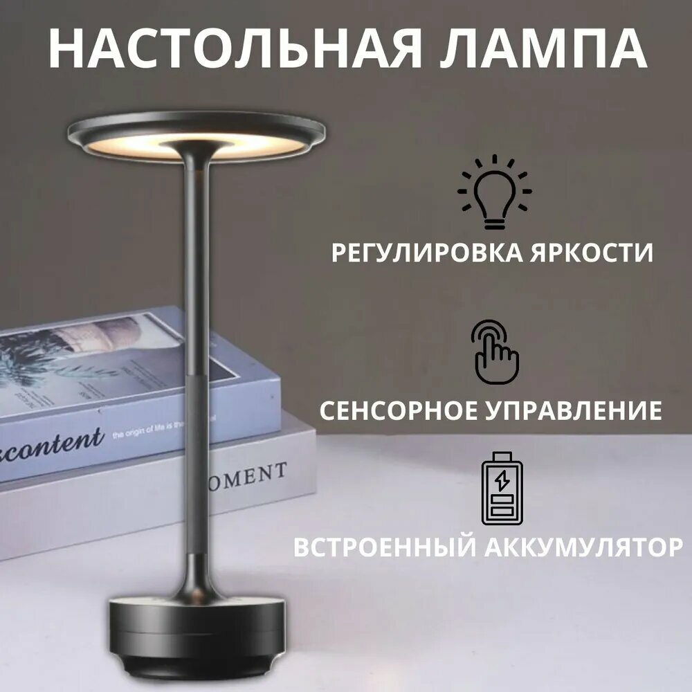 Настольная лампа-ночник, аккумуляторная, графитовая, светодиодный, сенсорный