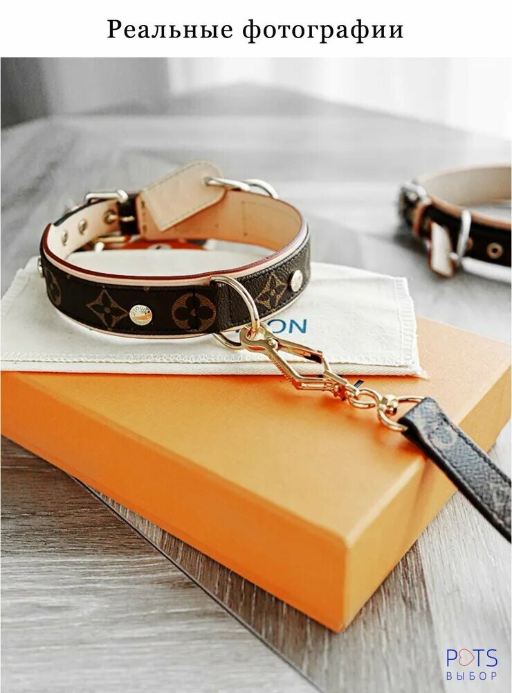 Набор ошейника и поводка для собак LV, Baxter dog collar set