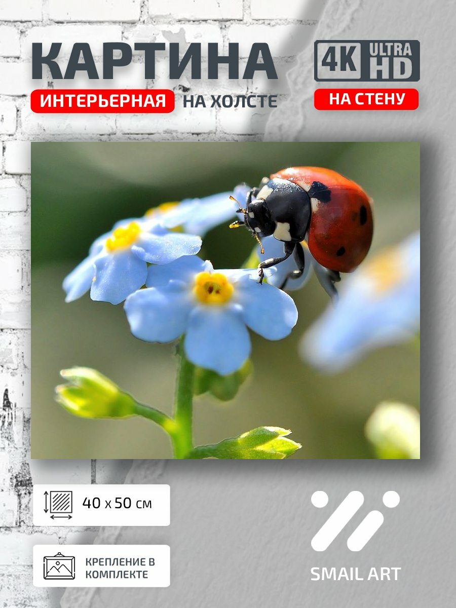 Картина на холсте интерьерная 40 на 50 на стену Коровка Mood для гостиной атмосфера декор