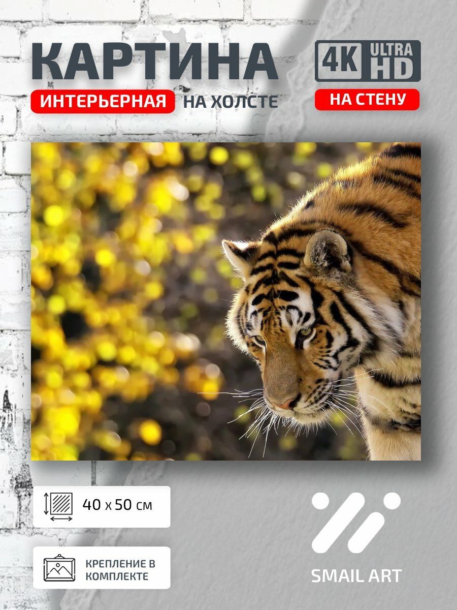 Картина на холсте интерьерная 40 на 50 на стену Тигр Landscape для кафе пейзаж интерьер