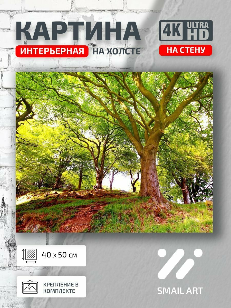 Картина на холсте интерьерная 40 на 50 на стену Пейзаж Landscape для кафе пейзаж интерьер