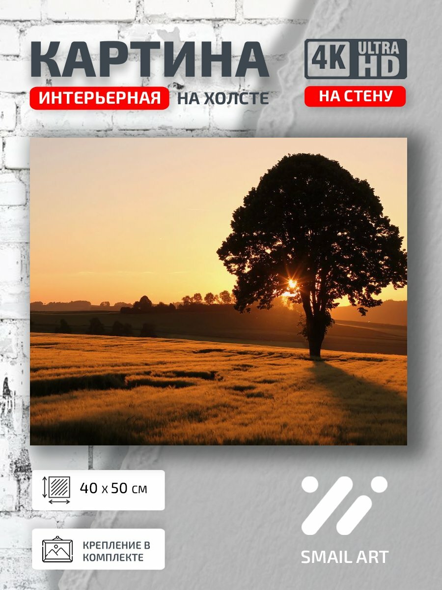 Картина на холсте интерьерная 40 на 50 на стену Степь Landscape для офиса пейзаж интерьер