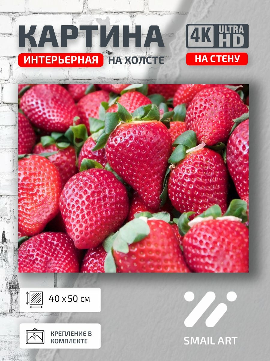 Картина на холсте интерьерная 40 на 50 на стену Красные Food для студии кулинария интерьер