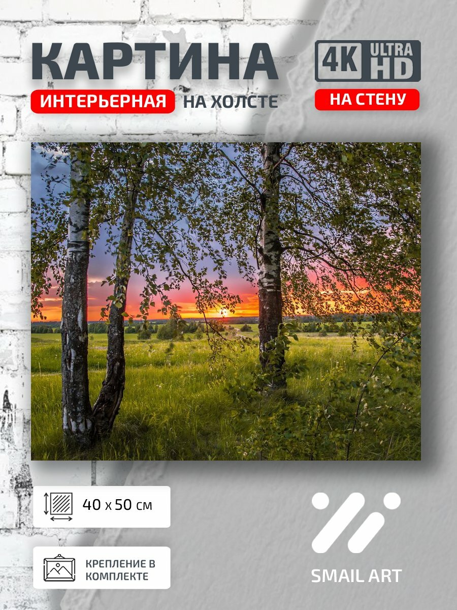 Картина на холсте интерьерная 40 на 50 на стену Закат birch для гостиной пейзаж интерьер