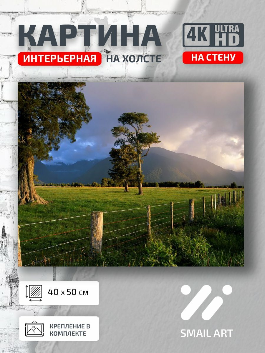 Картина на холсте интерьерная 40 на 50 на стену Поле Landscape для офиса пейзаж интерьер