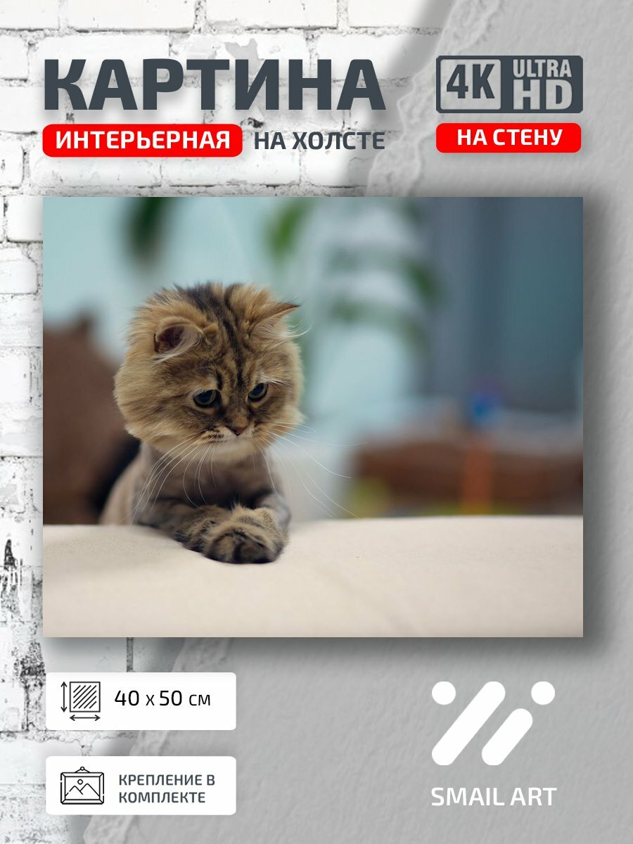 Картина на холсте интерьерная 40 на 50 на стену Надиване Animal для гостиной animal style