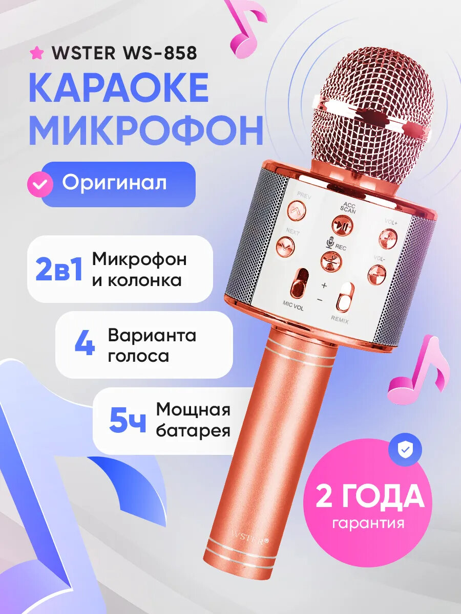 Беспроводной микрофон караоке детский WSTER