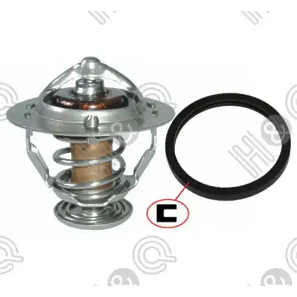 H&Q 5010T107 термостат